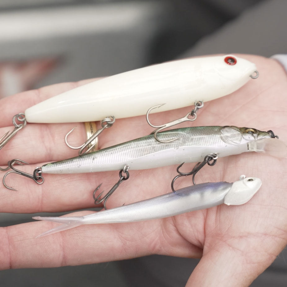 Catch More Fall Fish | Seaguar