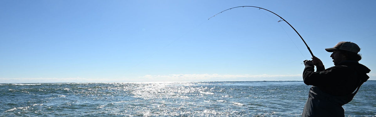 Captains, Guides, VIP Programs | Contact Us | Home | Seaguar