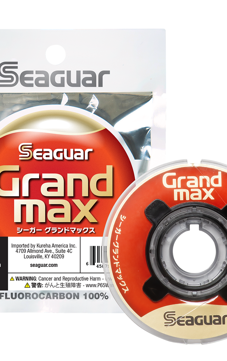 EXCLUSIVE JDM Grand Max Leader | Seaguar